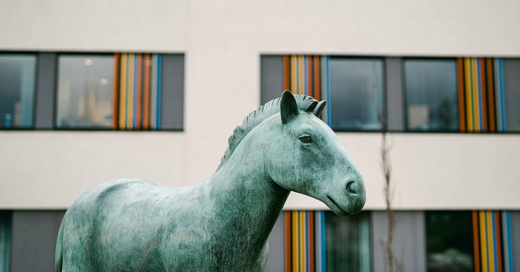 Tonic Exhibitions - Tonic Arts, NHS Lothian Charity