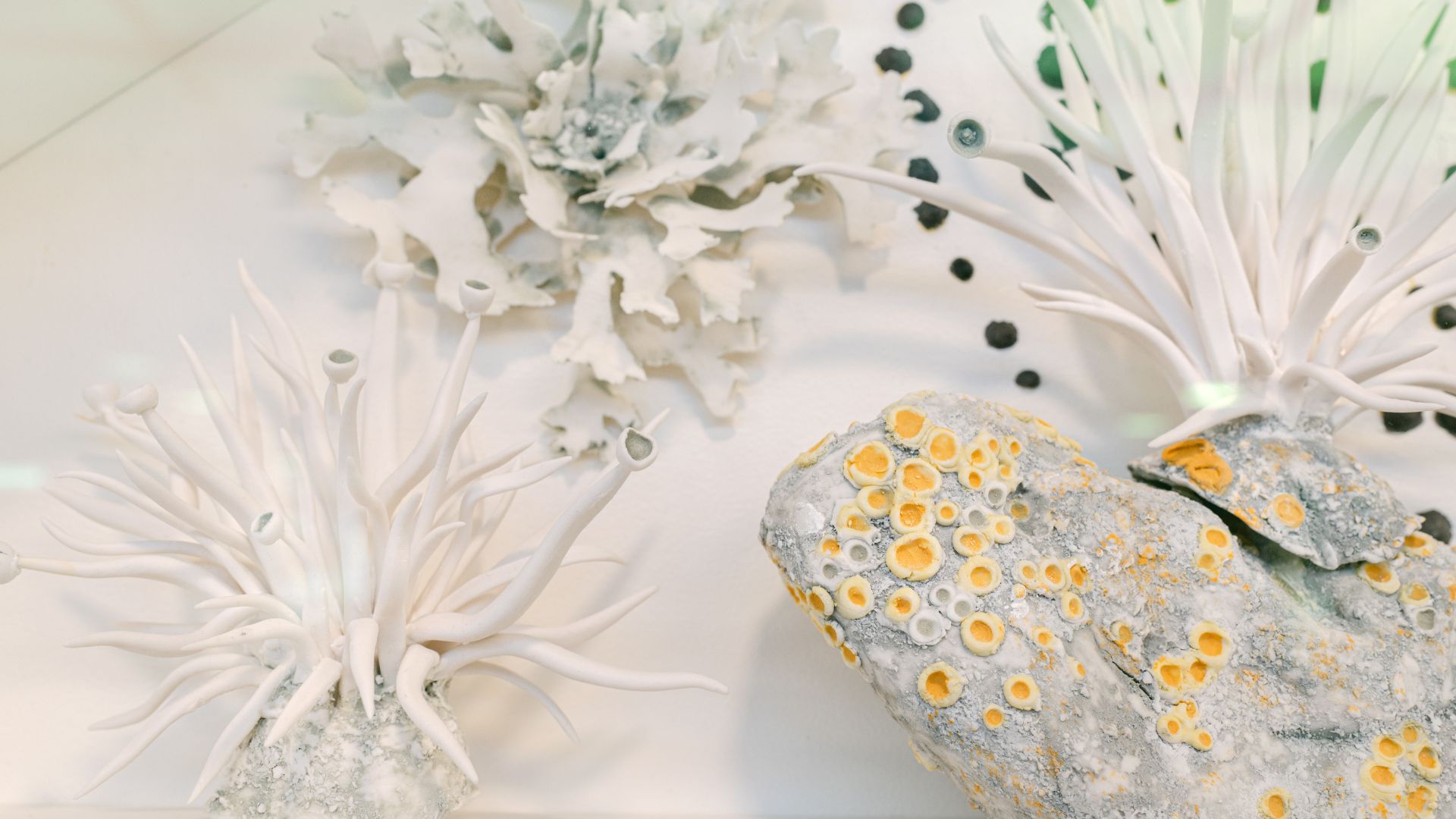 Home - Tonic Arts, NHS Lothian Charity