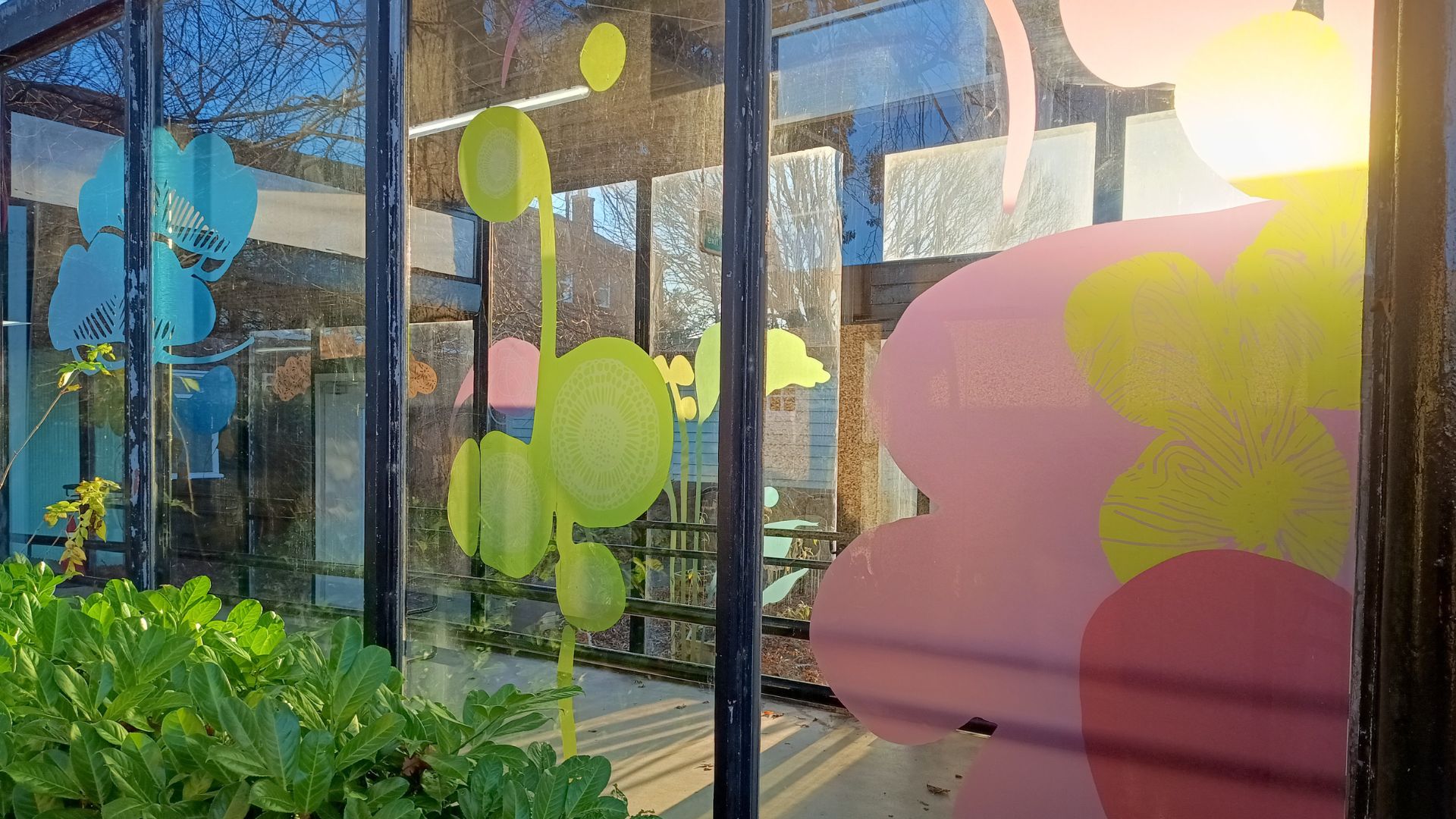 Transforming Healthcare Spaces - Tonic Arts, NHS Lothian Charity